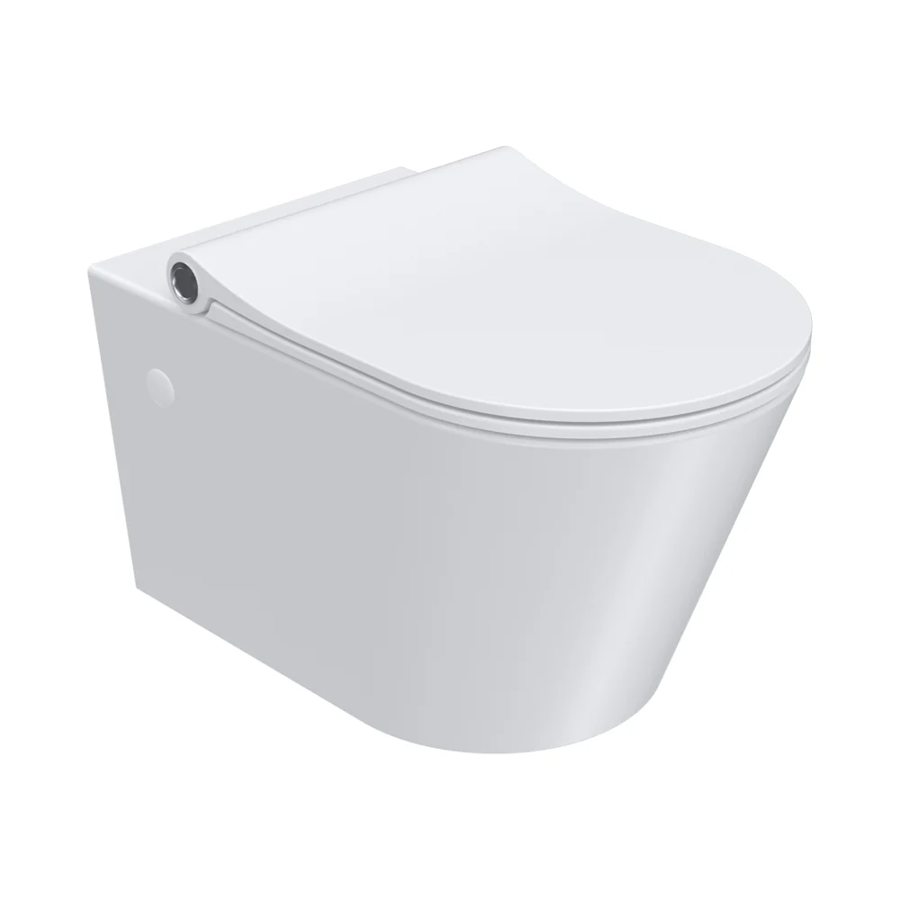 Parisi Linfa Wall Hung Pan Rimless (including Pressalit Seat) - Sydney ...